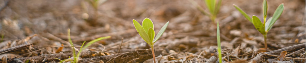 Valimex – Distribución de una amplia gama de productos